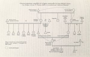Le génosociogramme